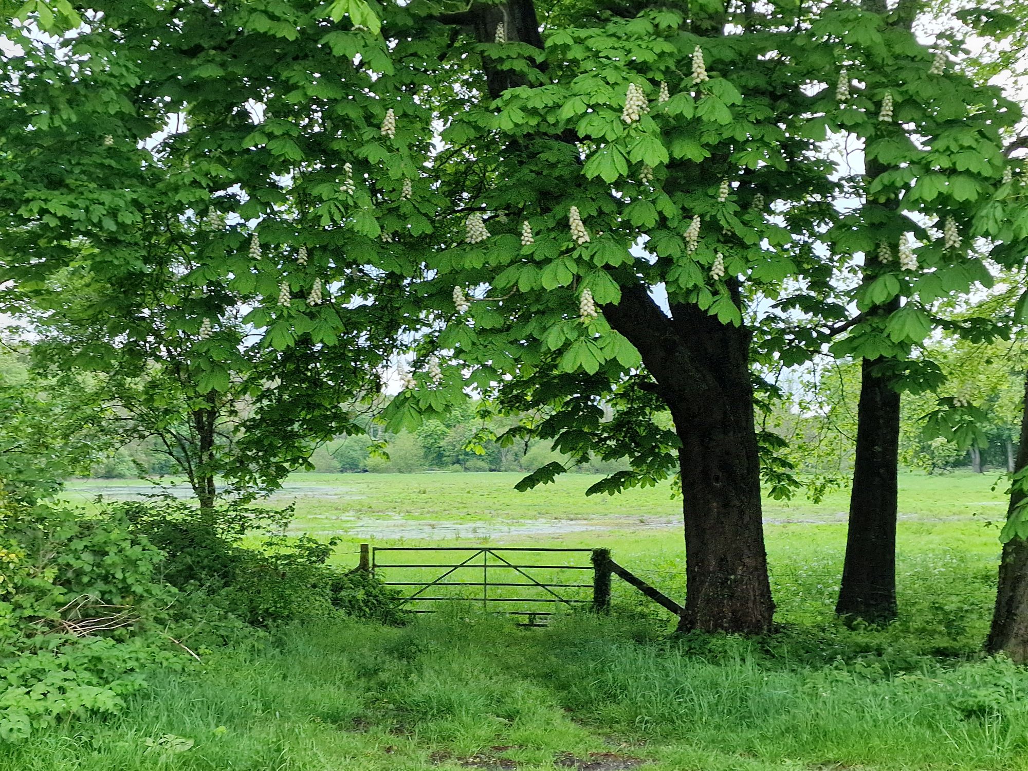 Driving back from Art Class – the diversion – Poetry for Dullards